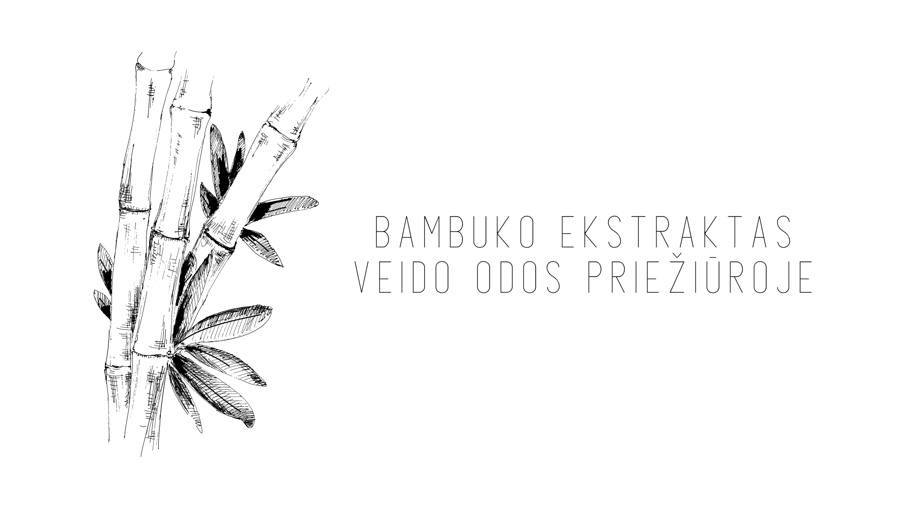 Bambuko ekstraktas veido odos priežiūroje – CHALURE